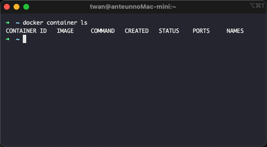 docker container lsの項目 – 諦めなければできる – Anveloper